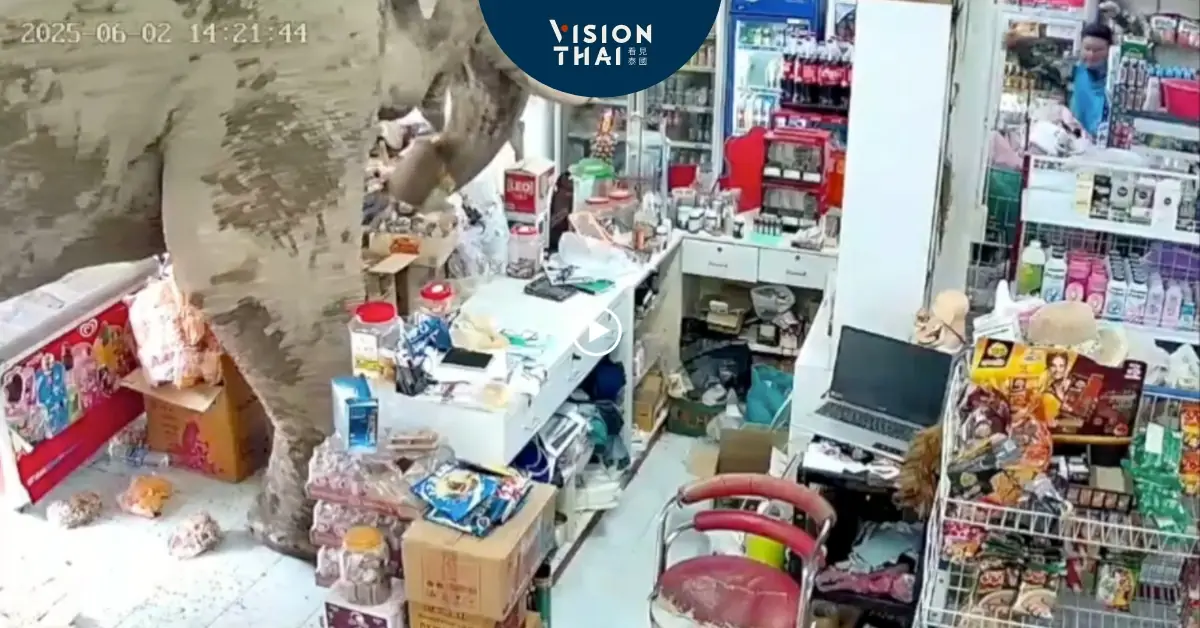 泰国大象闯杂货店用象鼻「购物」偏爱甜食 - Vision Thai 看見泰國
